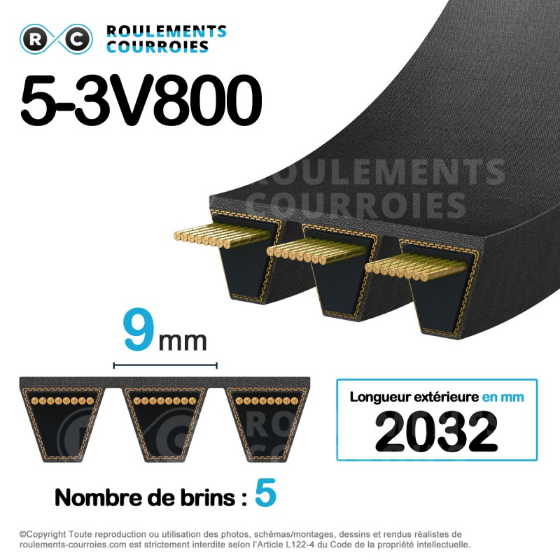 Courroie multibrins lisse ref 5-3V800 | 50,2 mm | Roulements Courroies